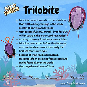 GIANT MICROBES Fuzzy Fossils Trilobite Plush - Learn About Fossils and Prehistoric Creatures, Unique Gift for Family, Friends, Scientists, Nature Lovers and Dinosaur Fans