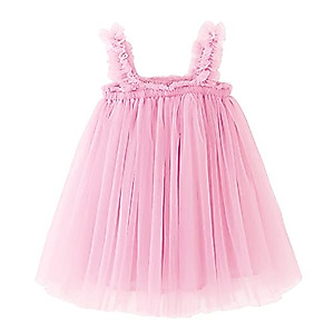 BGFKS Layered Tulle Tutu Dress for Toddler Girls,Baby Girl Tutu Princess Skirt Set with Lace Rose Flower Crown.(Pink,12 Months)