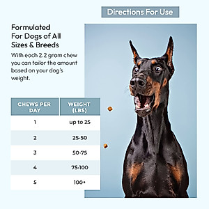 Gnawty Bites Allerg-Ease | Dog Allergy Supplement, Soothes Irritation & Inflammation | Immune Support, Itch & Seasonal Allergy Relief with Kelp, Colostrum, & Bee Pollen, 120 Soft Chews