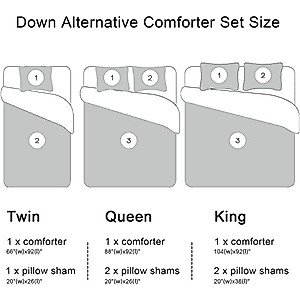 downluxe Lightweight Solid Comforter Set (Queen) with 2 Pillow Shams - 3-Piece Set - Red and Black - Down Alternative Reversible Comforter