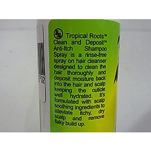 Bronner Brothers Tropical Roots Shampoo Spray, 8 Fl Oz
