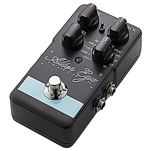 TC Electronic Alter Ego V2 Vintage Delay and Looper Pedal