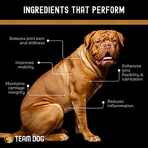 TEAM DOG Hip and Joint Chews for Dogs | Arthritis & Joint Support Supplements for Dogs | MSM, Chondroitin & Glucosamine for Dogs | Small, Medium & Large Breed | Chicken, Duck & Pea Flavor | 120 Count