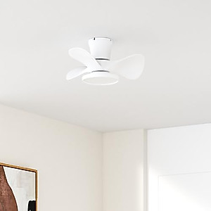 ocioc Quiet Ceiling Fan with LED Light 22 inch Large Air Volume Remote Control for Kitchen Bedroom Dining Room Patio