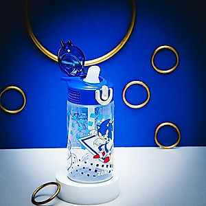 Zak Designs Sage Sonic the Hedgehog Water Bottle For School or Travel, 16oz Durable Plastic Water Bottle With Straw, Handle, and Leak-Proof, Pop-Up Spout Cover (Sonic, Eggman)