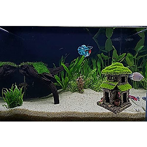 Saim Aquarium Decorations Fish Hideout Ancient Lovely Little House Betta Cave with Green Lifelike Moss Fish Tank Accessories