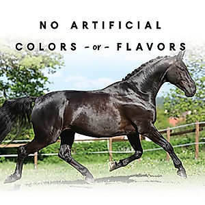 Nutrigood FruitSnax Horse Treats | Tasty Horse Treats Packed with Superfoods and Real Fruit Pieces | BerryMint + Oats Flavor | 2 Pounds