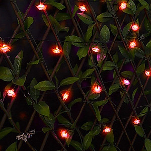 WONFAST Solar Flower String Lights, Waterproof 20FT 30LED Rose Flower 8Mode Solar Starry Ambiance Lighting Fairy String Lights for Gardens Path Home Wedding Party Christmas Decor (Red)