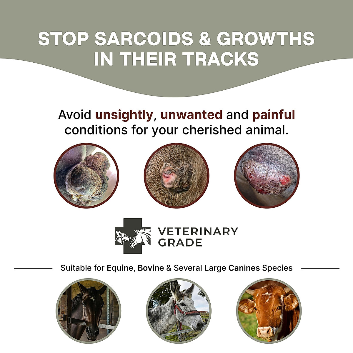 Vet Grade Horse Wellness Paste for Skin Anomalies | 1oz All-Natural Formula | Equine & Livestock Care