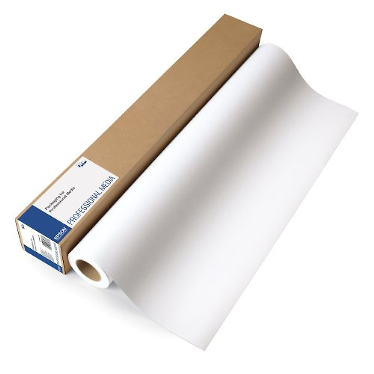 Epson Enhanced Matte 24-Inch x 100-Feet Photo Paper (S041595),White