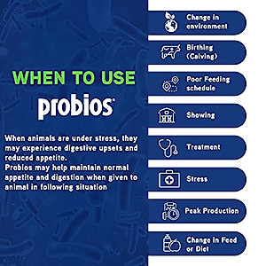 Probios Bovine One Oral Gel for Ruminants Tube, 60cc