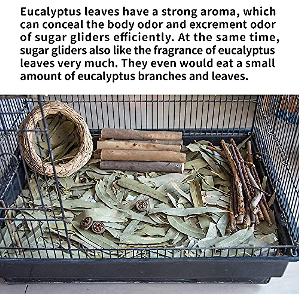 NEOUZA Sugar Glider Small Animal Bedding, Chew Treats, Molar Toys, 200g Natural Dried Eucalyptus Leaves and Twigs (200g Eucalyptus Leaves)