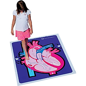 American Educational Human Heart Walk-Thru Mat, 60" Length x 50" Width