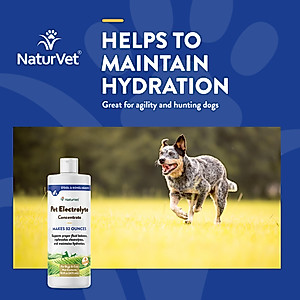 NaturVet Pet Electrolyte Concentrate for Dogs and Cats, 16 oz Liquid Concentrate, Made in The USA with Globally Source Ingredients