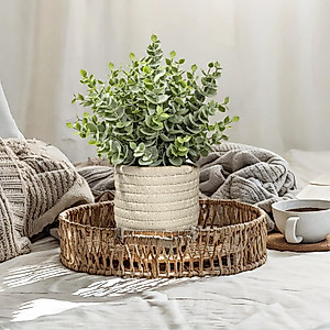 Hopewood Faux Plants, Fake Plants Eucalyptus Potted for Home Office Desk, Artificial Eucalyptus with a Weave Basket for Indoor Greenery Tabletop