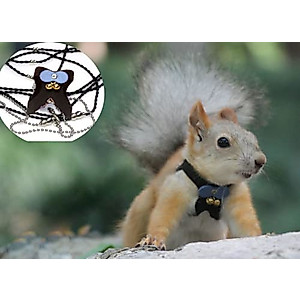 Squirrel Traction Rope Strap Anti-Biting Chain Rope, Adjustable Vest, Small Animal Walking Harness with Lead Leash with Free Collar for Hamster Gerbil Rat Mouse Ferret Chinchilla (Black with Blue)