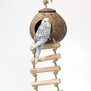 EastVita Coconut Bird Nest Hut with Ladder Hanging,Hanging Coconut Bird House Parrot Natural Coconut Shell Bird Nest Hideout House Playpen for Pet Parrot Budgies Parakeet Lovebird Finch Canary
