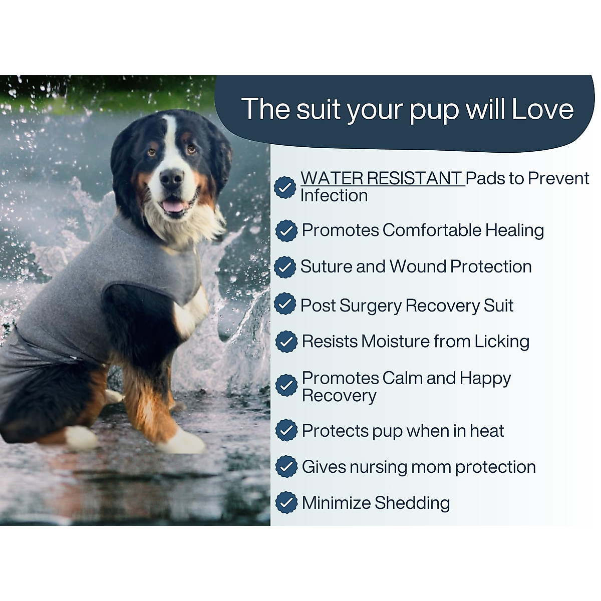 Dog Recovery Suit After Surgery - for Spay Neuter - with Washable Pads - Dog Onesie (Grey Large)