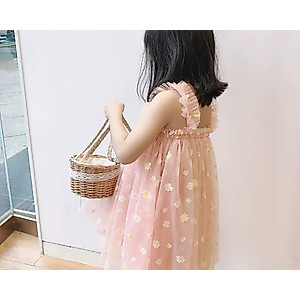 Toddler Baby Girl Daisy Tulle Dress Infant Sleeveless Layered Tutu Dress Pink 6-12 Months