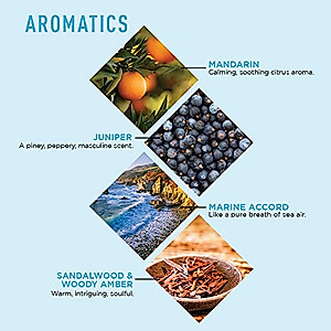 Jack Black Big Sir Body Lotion- 3oz