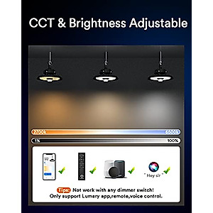 Lumary Smart Outdoor Neon Rope Lights, 32.8ft 22,000Lm Smart UFO LED High Bay Light