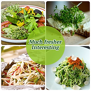 Sprouting Jar Kit 2Pcs Large Wide Mouth Mason Jars With Screen Sprout Lid,Sprouting Jar Stand,Tray,Blackout Sleeves,Brush-Seed Sprouting Kit For Growing Mung beans,Broccoli And So On