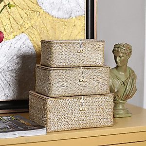 HAPYFURN Seagrass Handmade Woven Storage Basket with Lid Rectangular Natural Rattan Box for Toys Clothes Books Keys Multifunctional Makeup Organizer Set of 3 Shelf Basket