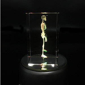 3D Human Skeleton Anatomical Model Paperweight(Laser Etched) in Crystal Glass Cube Science Anatomy Gift (No Included LED Base)(3.1x2x2 inch)