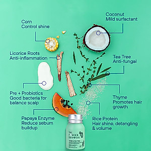 Exfoliating Foaming Powder Shampoo for Dandruff | 20x Washes | Vegan, Eco-Friendly, Tea Tree, Salicylic Acid 0.7 Oz Mini Aluminum Bottle