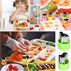 Crethinkaty 16 Pieces Fruit Shape Cutters Vegetable Cutter Set Mini Animal Cookie Cutters Fruit Stamps Mold 10 PCS Cute Cartoon Animals Food Picks and Forks