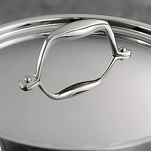 Tramontina Covered Dutch Oven Stainless Steel 5-Quart, 80116/025DS