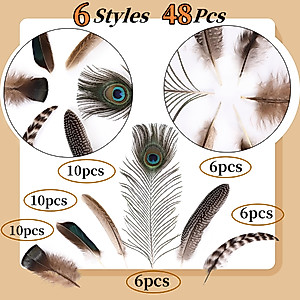 Holmgren 48pcs Natural Feathers Bulk - 6 Styles 48pcs Assorted Natural Feathers, Peacock Feathers, Pheasant Feathers, Turkey Feathers for Craft DIY Jewelry Hat Wedding Home Party Decoration