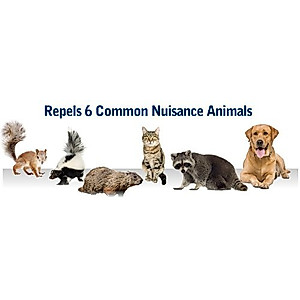 Havahart Critter Ridder 3145 Animal Repellent, Ready-to-Use Spray, 32-Ounce