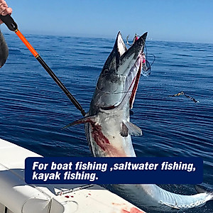 Fiblink Fishing Gaff Fiberglass Handle Stainless Steel Hooked Gaff (3’ & 5’ & 6’, 66 lb Test) (Lenght: 3')