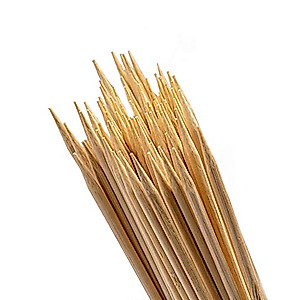 J-Line Design 100 All Natural 16 Inch Bamboo Skewers for BBQ, Grill, Shish Kabob, Appetizers, Fruit, Vegetables, Marshmallows and More - in PVC Tube Case Complete with Silicone Sauce Basting Brush