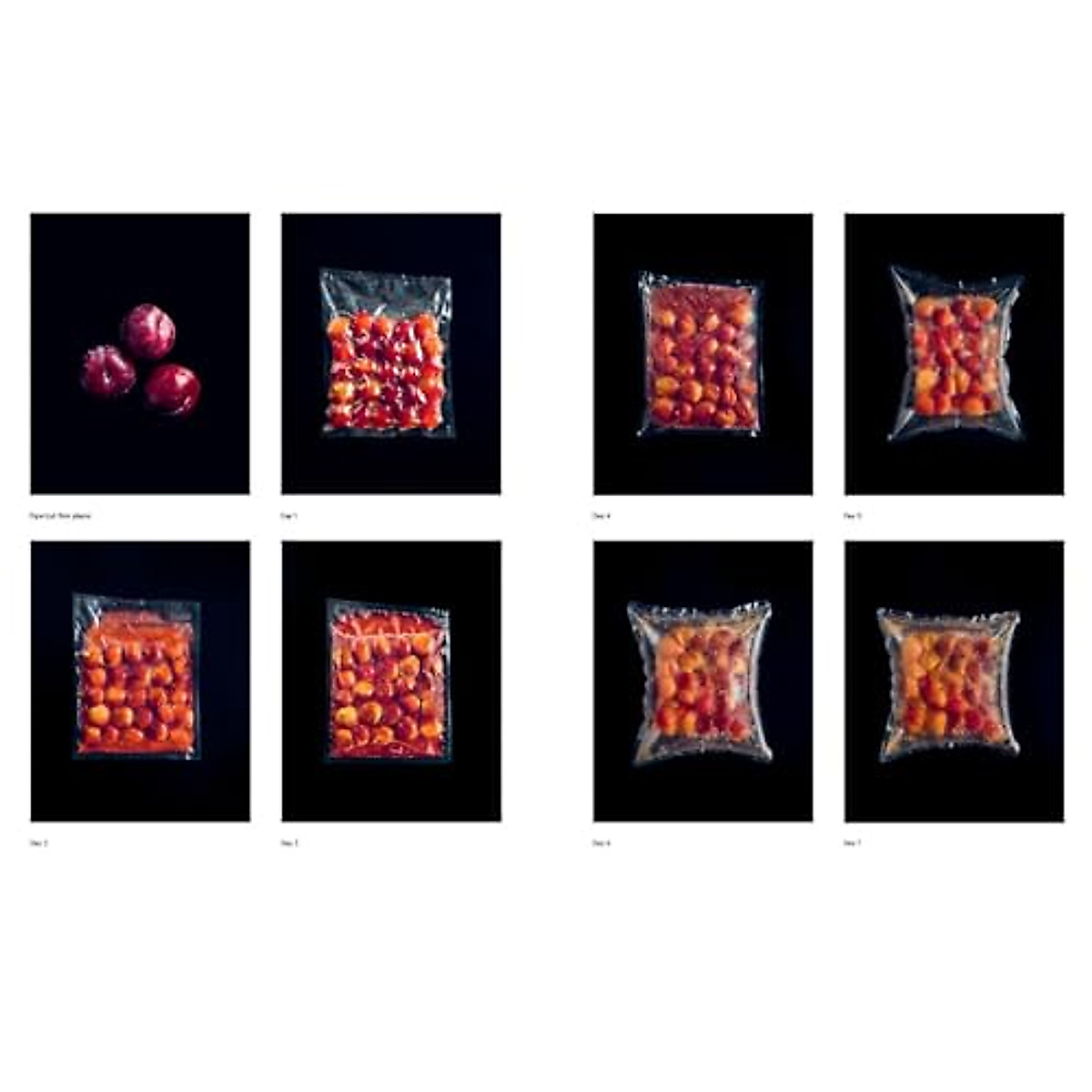 The Noma Guide to Fermentation: Including koji, kombuchas, shoyus, misos, vinegars, garums, lacto-ferments, and black fruits and vegetables (Foundations of Flavor)