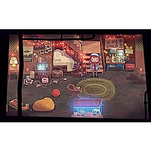 The Wild at Heart (Nintendo Switch)