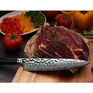 YOUSUNLONG Gyuto 10 inch Pro Chef's Knives Japanese Hammered Damascus Natural Leadwood Handle with Leather Sheath