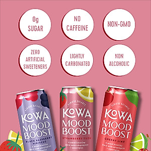 Kowa Mood Boost, 10 Calorie Soda, Adaptogen Drink, 0 Sugar, No Caffeine, Variety Pack, 12 fl oz (Pack of 12)