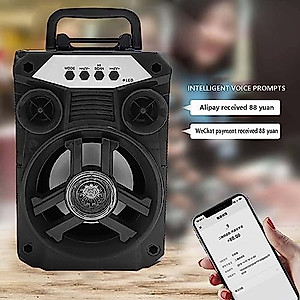 Portable Bluetooth Speakers Indoor Outdoor - Loud Voice Double Subwoofer Bass Speaker, Bluetooth 5.0 Wireless Speaker Support FM Radio, Small Stereo Sound System for Home, Party
