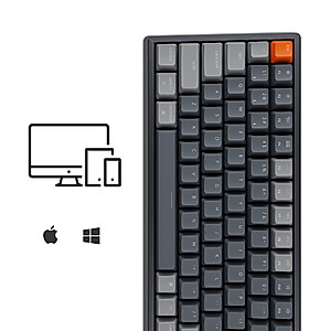 Keychron K4 RGB Hot Swappable Mechanical Keyboard, 96% Layout Bluetooth Wireless/USB Wired Computer Keyboard with Gateron G Pro Brown Switch Aluminum Frame for Mac Windows-Version 2