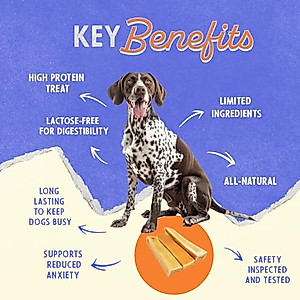 Himalayan Cheese Chews, Long Lasting, Stain Free, Protein Rich, Low Odor,100% Natural, Healthy & Safe, No Lactose, Gluten Or Grains, 3.0 lbs BULK TUB LARGE for Dogs 55 Lbs & Smaller (Package May Vary)