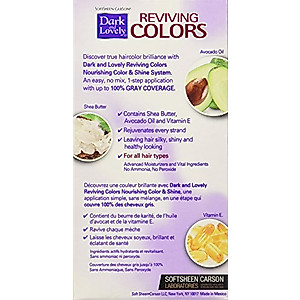 SoftSheen-Carson Dark and Lovely Reviving Colors Nourishing Color & Shine, Radiant Black 391