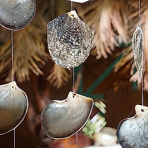 LLMSIX 200 Meters Fishing Line, 0.8mm 57LB Clear Fishing Line Monofilament Nylon Fishing Line Invisible Hanging Wire Thickened Nylon Thread for Fishing, Hanging, Crafts