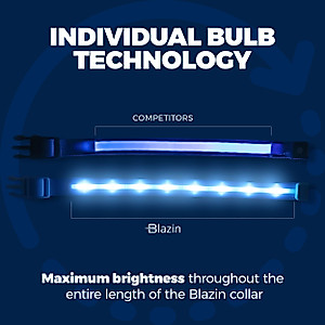 Blazin Brightest Light Up Dog Collars - The Original LED Dog Collar with 1,000 Feet of Visibility - USB Rechargeable Waterproof Dog Collar Light - Dog Lights for Night Walking - USA Brand