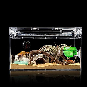 HERCOCCI 2 Pack Chameleon Bowls, Reptile Ledge Feeder Suction Cup Worm Bowl & Water Dish Supplies for Chameleon Lizard Bearded Dragon Gecko Snake