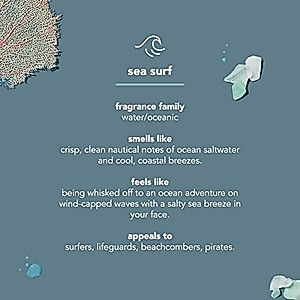 Method Men Body Wash, Sea + Surf, Paraben and Phthalate Free, 18 fl oz (Pack of 1)