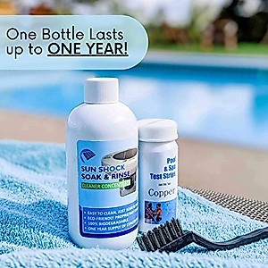 Copper Anode, Basket, and Coil Cleaner - Easy to Use, Prolongs The Electrode (8oz) - Cleans Your Solar Pool Ionizer's Basket and Electrode, All at Once - Sun Shock Soak and Rinse