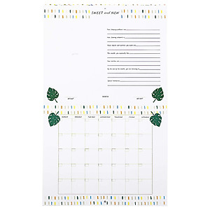 C.R. Gibson BA3-22583 Cute Elephants ''Wild About You'' Gender Neutral First Year Baby Calendar, 11'' W x 18'' H