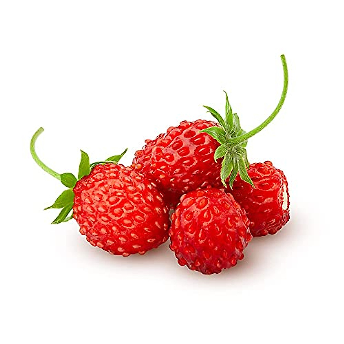 Strawberry Seeds, Woodland Wild Strawberry Fruit/Plant Seeds, 150 Strawberry Seeds Per Packet, Non GMO Seeds, (Fragaria vesca), Isla's Garden Seeds